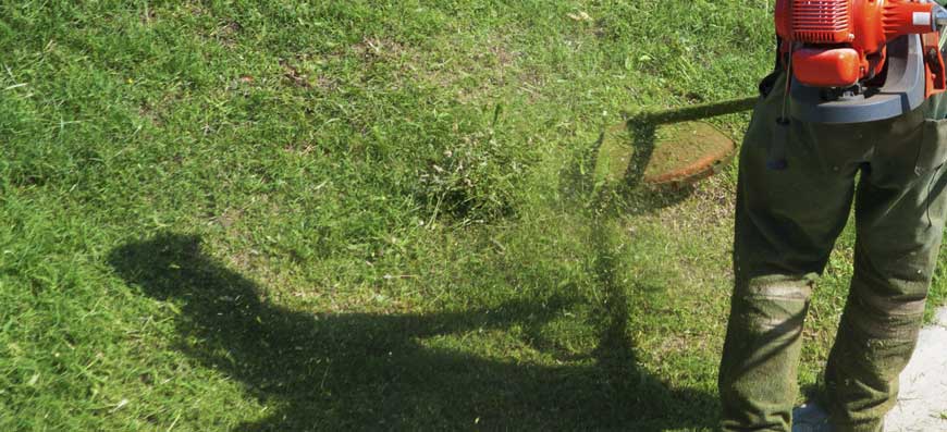 Weed Eating - Lawncare Engineer